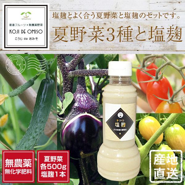■ミニトマトはレッドとイエローMIX■各野菜のサイズ、形状は不揃いになりますがご了承下さい。■収穫したばかりの水ナスはヘタのところにトゲがありますのでご注意ください。■青果物、発酵食品は、必ずお届け日当日にお受け取りください。■塩麹は八分付...