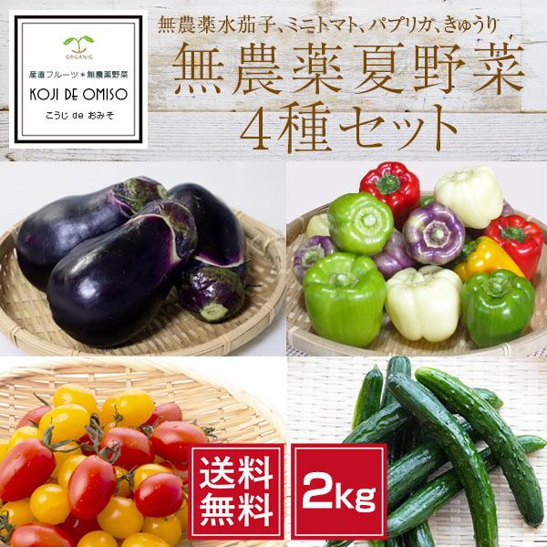 ■パプリカは露地栽培ですので、市販のパプリカのように大きくありません。■合計約2kg　※各バランス良く詰め込みます。※サイズ、形状不揃い■雨の日が続くと発送が遅くなる場合もあります。ご了承下さい。■太陽の光をいっぱい浴びた露地栽培のため、多...