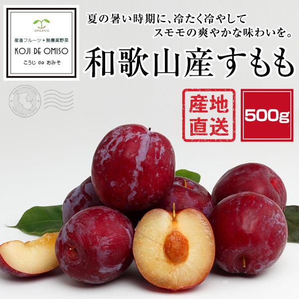 ■すももは、時期、入荷状況により下記のいずれかになります。6月中旬〜　大石早生→ソルダム・李王（りおう）・太陽→貴陽　〜8月末■青果物、発酵食品は、必ずお届け日当日にお受け取りください。■翌日「午前」「12:00〜14:00」お届け可能地域...