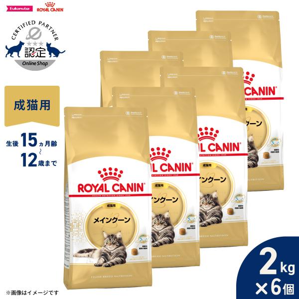【ロイヤルカナン フィーライン ブリード ニュートリション メインクーン 成猫用 柔らかくきめ細かなアンダーコートをもつメインクーンは最も大型の猫で、関節の健康維持に配慮が必要な猫種です。また、心臓の健康にも配慮が必要です。グルコサミン、コ...