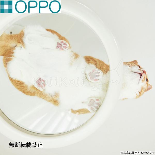 OPPO オッポ キャットフォレスト2用オプション ClearShelf クリアシェルフ キャットフォレストに取付られるオプションです。透明なステップで、愛猫の可愛い肉球を見ることができます。取付の高さは自由自在。フチは幅広のため、グルリと...