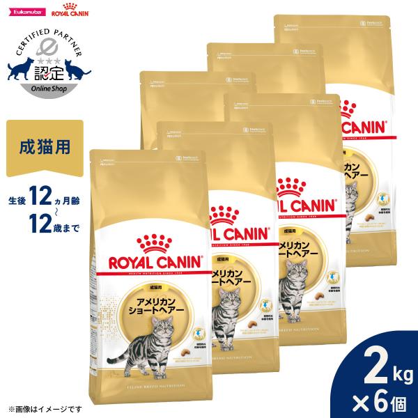 【ロイヤルカナン フィーライン ブリード ニュートリション アメリカン ショートヘアー 成猫用 アメリカン ショートヘアーは丈夫でバランスが良く取れた猫ですが、太りやすい傾向があります。また、光沢をもった、短く厚みがある被毛が特徴です。カロ...