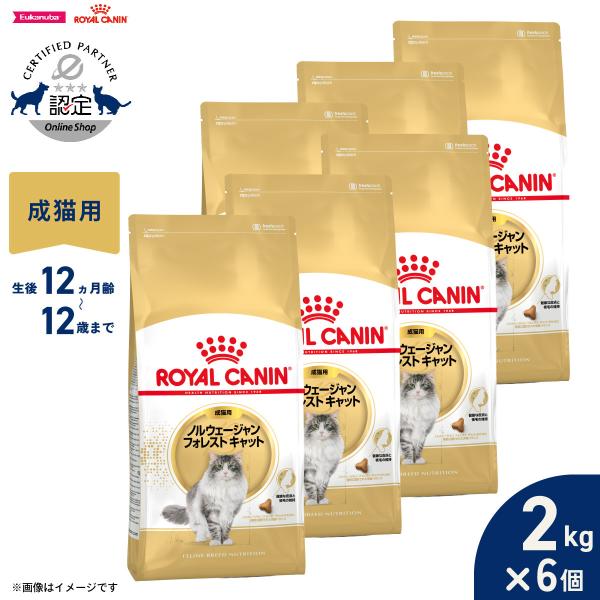 【ロイヤルカナン フィーライン ブリード ニュートリション ノルウェージャン フォレスト キャット 成猫用 ノルウェージャン フォレスト キャットは、セミロングのダブルコートが特徴で、毛玉を形成しやすい猫種です。また、大きい体型で体重が増加...