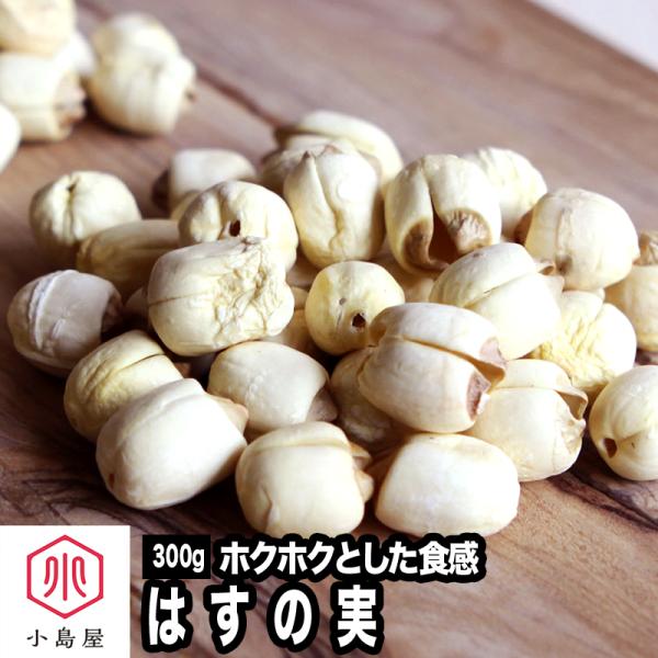 はすの実 《 300g 》ハスの実 とは、 レンコン の地上に出ている花の実の事です 完熟した 乾燥ハスの実 を乾燥させたこちらの商品は、スープ、煮物、菓子材料等に使われます調理用食材なので、そのままでは食べれませんまず、鍋に 蓮の実 と水...