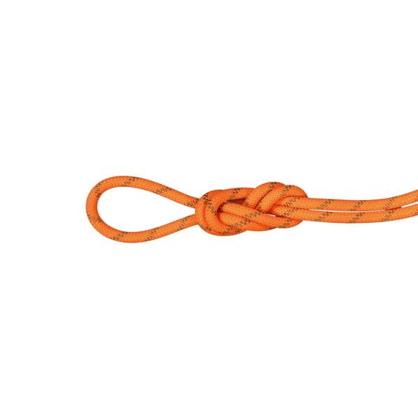 MAMMUT マムート / 8．0 アルパイン ドライ ロープ 60m / カラー：2284（vibrant orange-boa） / 8.0 Alpine Dry Rope 60m 2010-05140_2284