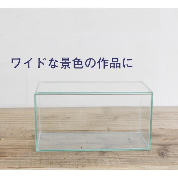 【苔テラリウム用ガラス容器】●クリアでコケが鑑賞しやすい容器です。●横に広がるワイドな景色の作品におすすめ。●ぴったりサイズのガラス蓋はオリジナルの特注品です。●わずかに通気のある構造でコケが徒長せず育てやすい。【サイズ】200ｍｍ　ｘ　1...