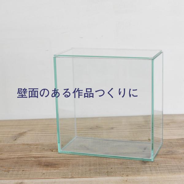 【苔テラリウム用ガラス容器】●クリアでコケが鑑賞しやすい容器です。●ぴったりサイズのガラス蓋はオリジナルの特注品です。●活着君を使った、苔壁のある作品つくりにおすすめ。https://www.kokenomori.com/items/311...