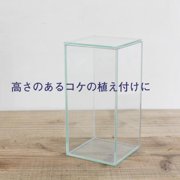 【苔テラリウム用ガラス容器】●クリアでコケが鑑賞しやすい容器です。●コウヤノマンネングサ・フジノマンネングサなど背丈のあるタイプのコケの植え付けや、小型のシダ類の植え付けにおすすめ。●高さを生かして、地層のある苔テラリウムをデザインすること...