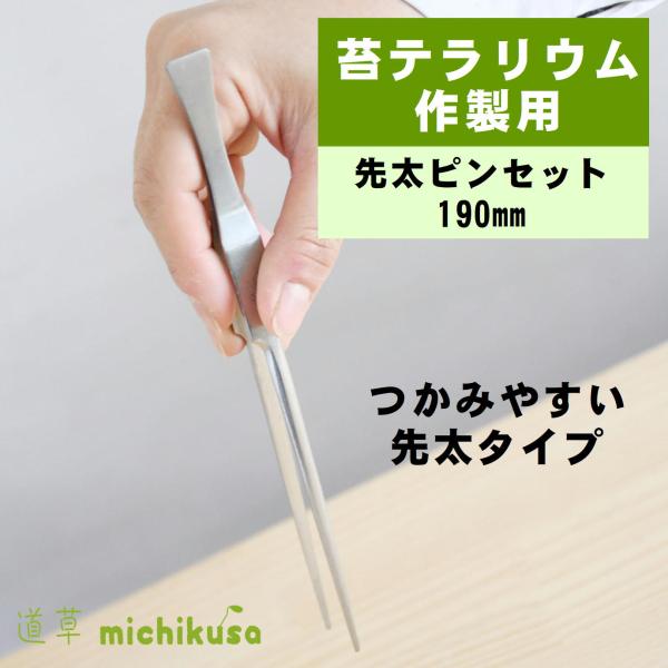 苔テラリウムを作るときにあると便利なステンレス製ピンセット。ピンセットの先は約2ｍｍで、まとめてコケをグリップするのによい太さです。先端にはグリップのための刻みがないため、コケを植えた後にピンセットを引き抜いても、コケがついてきにくく、気持...