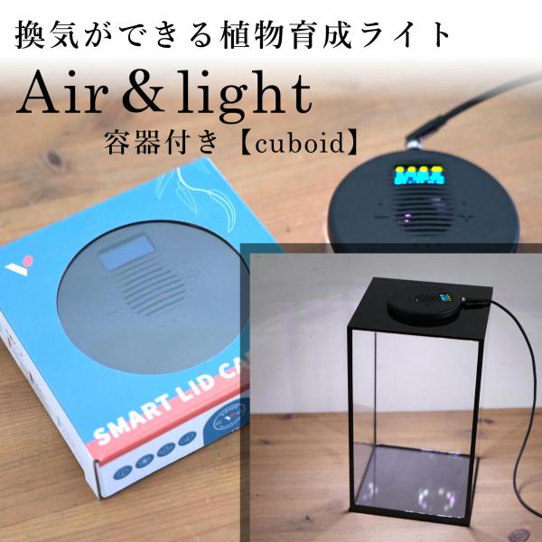 換気機能が付いた最新LED照明 Air&amp;light台湾のテラリウムメーカーVasee社が開発した最新のテラリウム専用LED照明と15cm水槽のセットです。【水槽サイズ】15×15×高さ25cm（15cm水槽High）【Air&amp...