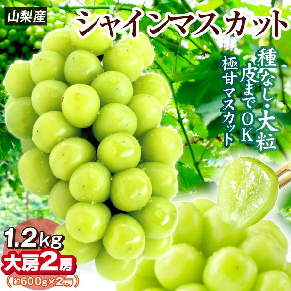 ●商品情報：「甘い・大きい・種なし」に加え、皮ごと食べられる究極理想のマスカット。糖度は20度近くあり、芳醇な香りとパリっと弾ける食感が大人気!!●産地：山梨県●規格・サイズ：-●入数の目安：約600ｇ×2房●配送形態：段ボール箱●配送温度...