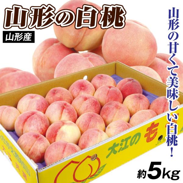●商品情報：昼夜の寒暖差が大きい盆地の厳しい気候が、糖度が高く味がしっかりのった美味しい桃を育みます。ジューシーで滑らかな白桃をお届け。●産地：山形県●規格・サイズ：-●入数の目安：5kgあたり12〜25玉●配送形態：段ボール箱●配送温度：...