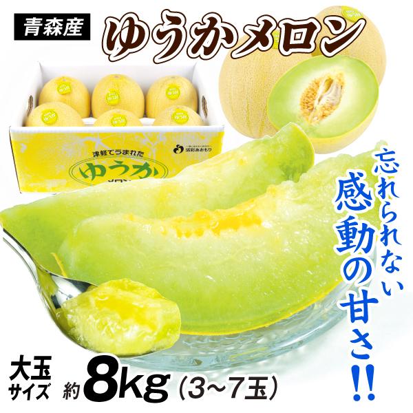 ●商品情報：極上の甘味とトロ〜リ滑らかな舌触り！切った瞬間から、豊かな果汁と花の様な甘い香りに満たされます。生産量が少なく希少な青森県特産メロン。こちらは大玉サイズでのお届けです。●産地：青森県●規格・サイズ：-●入数の目安：8kgあたり3...