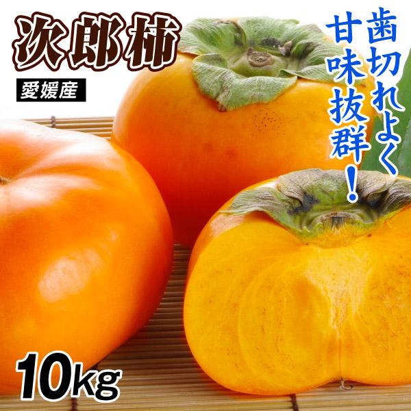 ●商品情報：富有柿と人気を二分する甘柿・次郎柿。カリッと歯切れのいい果肉は、種もほとんどなく食べやすい！硬めの果肉は驚くほどジューシーで、甘味たっぷりの果汁が口いっぱいに広がります。●産地：愛媛県●規格・サイズ：無選別混合●入数の目安：-●...