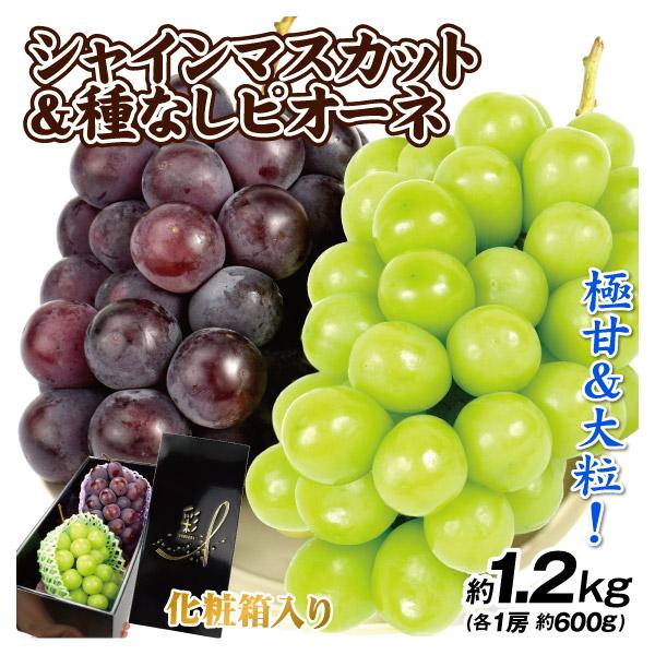 ●商品情報：爽やかな甘味の「シャインマスカット」と、濃厚・芳醇な甘みの黒ぶどう「ピオーネ」。味わいの違いを楽しめる２種のぶどうを豪華化粧箱でお届け！●産地：シャインマスカット：長野・山梨産、ニューピオーネ：岡山産●規格・サイズ：1房あたり約...