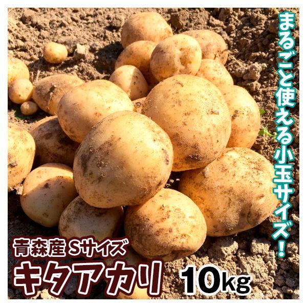 ●商品情報：男爵いものようなホクホク感のある黄色い果肉が特徴的で、“黄金男爵”とも呼ばれる、甘くて濃厚な味わいが美味しいじゃがいも。火の通りが早いので、レンジ加熱でも、じゃがバターやポテトサラダなどがほっくり美味しく作れます。小玉限定！●産...