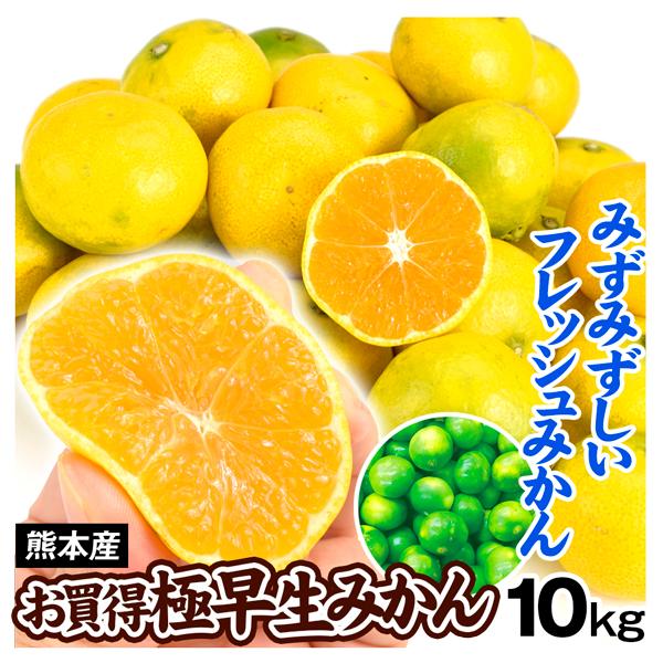 ●商品情報：みかん名産地・熊本より！太陽光とミネラル豊富な有明の潮風をたっぷり受けて育った、みずみずしいフレッシュみかん！●産地：熊本県●規格・サイズ：無選別●入数の目安：-●配送形態：段ボール箱●配送温度：常温便●備考：※出荷時期により、...