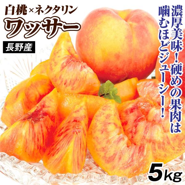 ●商品情報：実が引き締まってカリッとした食感ですが、噛むと濃厚果汁が広がります。甘みと酸味のバランスが良く、追熟が進むにつれやわらかで濃厚な甘味に。●産地：長野県●規格・サイズ：-●入数の目安：5kgあたり16〜20玉●配送形態：段ボール箱...