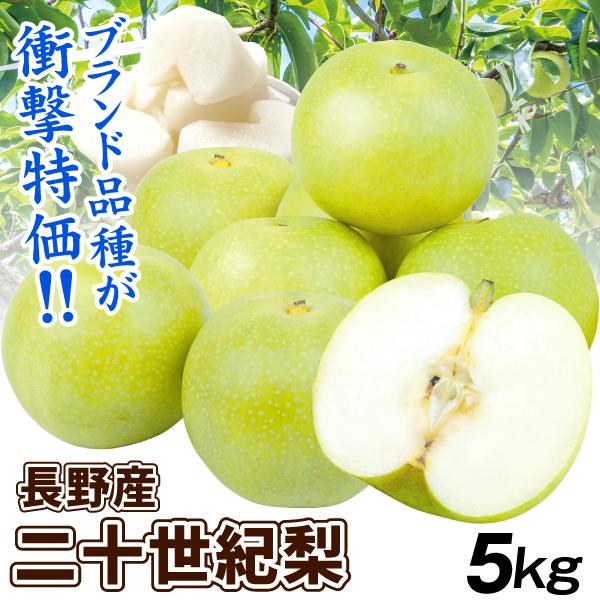 ●商品情報　青梨らしい軽やかな甘味と、酸味が絶妙に溶けあった爽やかな味わい！キレの良い食感がたまらない、゛青梨の王様゛二十世紀梨を特別価格で！●産地　長野県●規格・サイズ　-●入数の目安　5kg（8〜24玉）●配送形態　段ボール箱●配送温度...