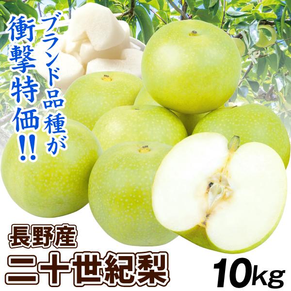 ●商品情報　青梨らしい軽やかな甘味と、酸味が絶妙に溶けあった爽やかな味わい！キレの良い食感がたまらない、゛青梨の王様゛二十世紀梨を特別価格で！●産地　長野県●規格・サイズ　-●入数の目安　10kg（16〜48玉）●配送形態　段ボール箱●配送...