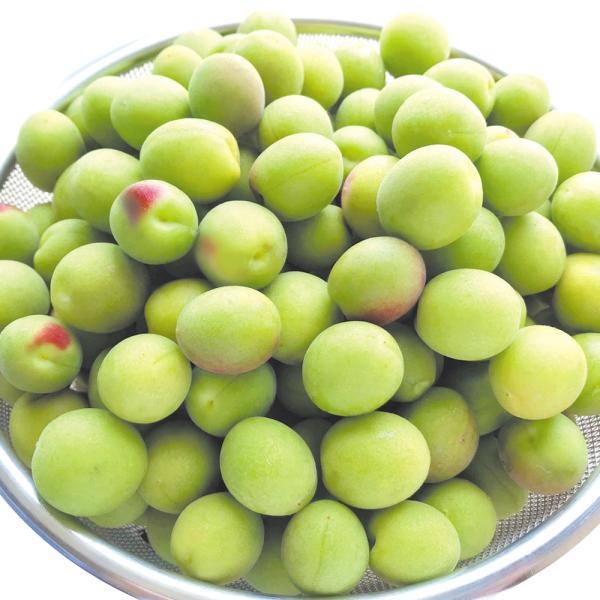 ●商品情報：青梅からつけるカリカリ梅や梅酒作りに。本場・和歌山の高品質な小粒の青梅をお届け。●産地：和歌山県●規格・サイズ：無選別●入数の目安：-●配送形態：段ボール箱●配送温度：冷蔵便●備考：※ご家庭用としてご用意いたします。多少の傷・ス...