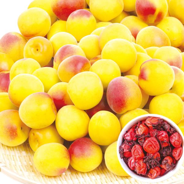 ●商品情報：全国の梅生産量の６割以上を占める、日本一の名産地・和歌山県。特に和歌山発祥の「南高梅」は、果皮が薄く肉厚で、種も小さいことから、美味しい梅干しを作るのに最も適した品種といわれています。肉質が良く風味豊かな「梅の最高級品種」として...