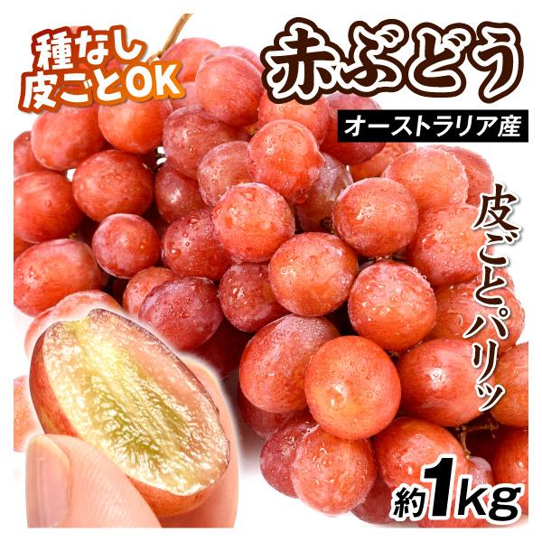 ●商品情報　おやつ感覚で気軽に食べやすい！皮ごとパリッと弾ける海外赤ぶどう！●産地　オーストラリア産●規格・サイズ　-●入数の目安　約1kg●配送形態　段ボール箱●配送温度　常温便●備考　【品種指定不可】※ご家庭用としてご用意致します。多少...