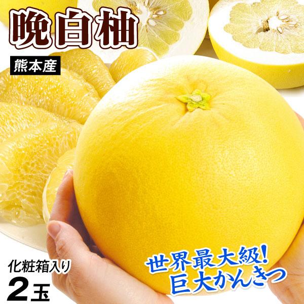 ●商品情報：熊本特産の超巨大柑橘・ばんぺいゆ。一房が掌に余るほど大きく、プリツヤ果肉は爽やかな甘味で、香りが非常に良い柑橘です。分厚い果皮は砂糖漬けやジャム等にも最適です。●産地：熊本県●規格・サイズ：-●入数の目安：-●配送形態：化粧箱●...