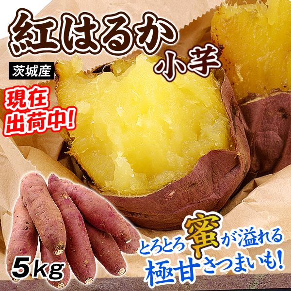 ●商品情報　焼芋にすれば、蜜が溢れるほどに甘味たっぷりの大人気さつまいも！しっとりした舌触りで、とろけるような甘さはまるで極上スイーツ！●産地　茨城県●規格・サイズ　2S●入数の目安　-●配送形態　-●配送温度　常温便●備考　※ご家庭用とし...