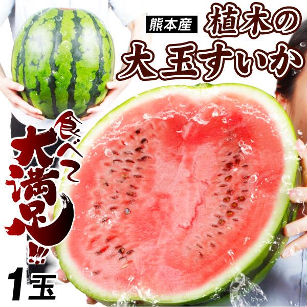 商品情報　　　　　日本一の名産地・植木町の絶品スイカ！食べ応え抜群！すいかの聖地より大玉サイズをお届け！！盆地特有の寒暖差で磨かれたスイカは、糖度が高く、シャリシャリした歯触りと後味の良さが抜群！熊本・植木町のすいか名人たちが育て上げた逸品...