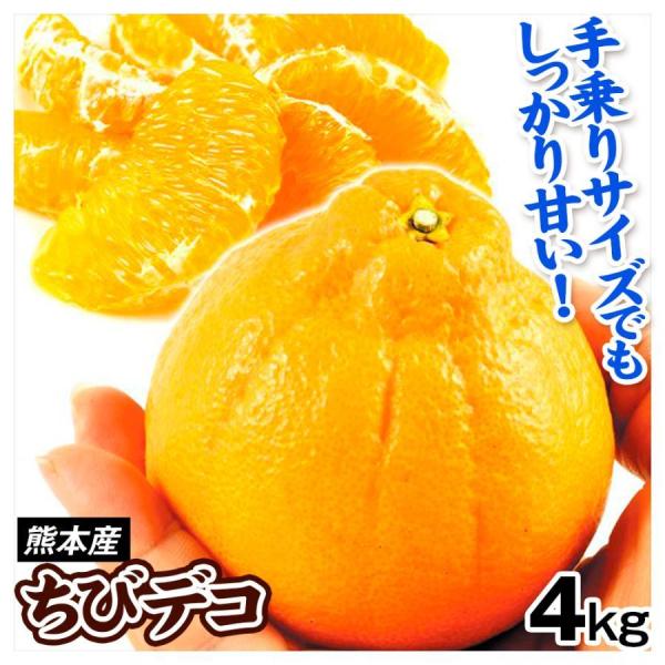 ●商品情報：小さくて食べやすいちびデコは、濃厚な甘味とほど良い酸味で人気！●産地：熊本県●規格・サイズ：-●入数の目安：-●配送形態：段ボール箱●配送温度：常温便●備考：※ご家庭用としてご用意いたします。多少の傷・デコなし・変形果・大小バラ...