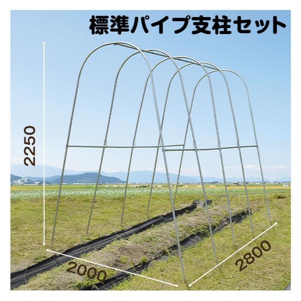 【発売日：2014年06月09日】●商品情報トマトの雨よけ栽培をはじめ、つる性植物の支柱としても!亜鉛メッキスチール製のサビない支柱がお買得価格で!従来より販売していた人気商品「パイプ支柱セット」が、部品が新しくなって再登場。※従来型と骨組...