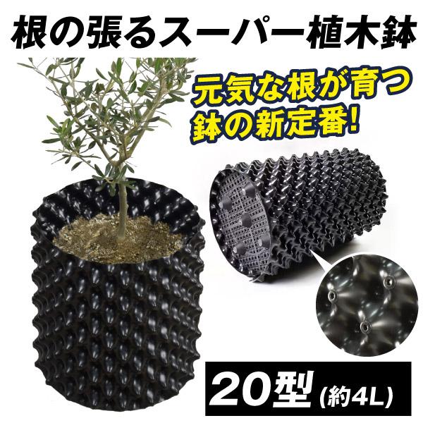 商品情報1本の根だけが植木鉢の内側に沿って伸び続ける「サークリング」を抑制。よく分岐した健康的な根を育てます!       また、分解してコンパクトに収納できる点なども便利です。材質PET サイズ直径20×高さ20（cm）土の充填量約4L備...