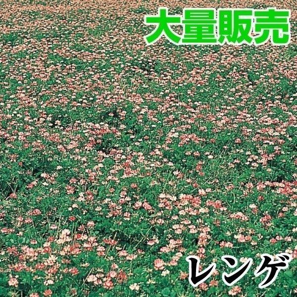 ●商品情報　古くから自給肥料や蜜源植物として有名なレンゲ。緑肥として利用する場合は花盛りの頃に株ごと土に鋤き込みます。土壌改善などに向く緑肥・有用植物や、バラまきで育てられる景観形成向きの花のたねを集めました!!休耕田や空き地の活用、緑化に...