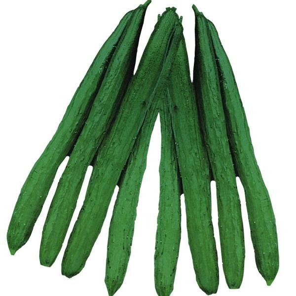 ●商品情報：耐暑性、耐病性に強い夏秋どりに最適な多収品種。ツヤがあり皮薄く美味。●果長（約）：23cm●お届け状態：種子●入り数の目安：1mlあたり約15〜20粒入り※品種により差があります。●発芽適温：25〜30℃※発芽させるには播種床を...