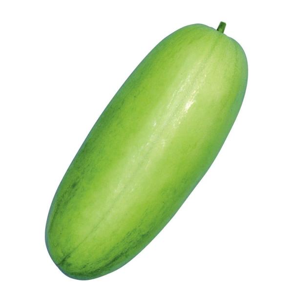 ●商品情報：耐病性の早生豊産種。●果長（約）：30cm●お届け状態：種子●入数の目安：苦瓜：10mlあたり約20粒、白瓜：10mlあたり約150〜200粒入り数は目安です。品種により差があります。●発芽適温：25〜30℃※発芽させるには播種...