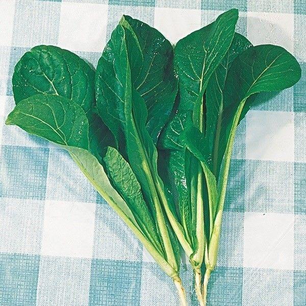 ●商品情報：生育が早い、早生タイプ！ 栄養分豊富な健康野菜。家庭で作れば、鮮度を損なうことなく、しかも美味しく食べられるのでとってもお得です。●お届け状態：種子●備考：播種や植え付け後の栽培条件、天候等によりその結果が異なることがありますが...