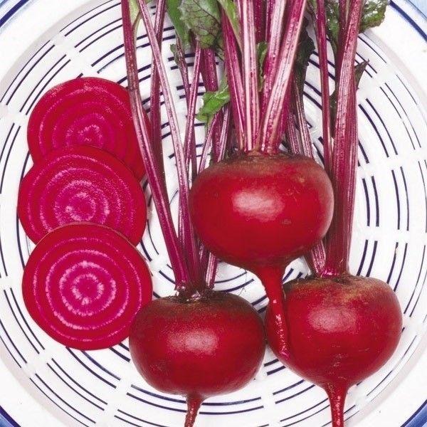 ●商品情報：ベビーリーフとして周年栽培可能。栄養分豊富な健康野菜。家庭で作れば、鮮度を損なうことなく、しかも美味しく食べられるのでとってもお得です。●お届け状態：種子●備考：播種や植え付け後の栽培条件、天候等によりその結果が異なることがあり...