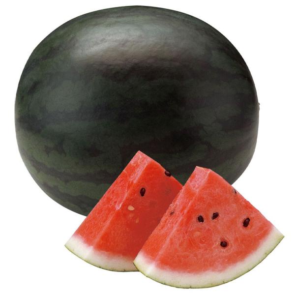 ●商品情報：最高糖度14度以上。シャリ感最高!栽培も簡単!　糖度は13度前後で安定し、条件が良ければ14度を超えることもある極甘スイカ。濃緑色の果皮に黒い縞が入る短だ円形品種で、適度なシャリ感があり歯ざわり良く、誰の口にも合う食味です。実つ...