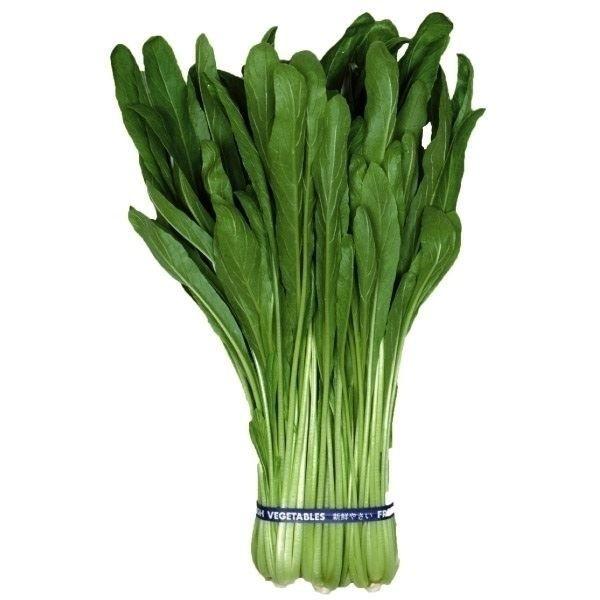 ●商品情報：京都の伝統野菜味・香り良く生育旺盛。早どりでサラダや、浅漬けなどに。●お届け状態：種子●備考：※播種や植え付け後の栽培条件、天候等によりその結果が異なることがありますが、弊社の責と考えられる結果不良の責めはお買い上げ代金の範囲内...