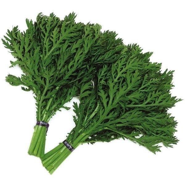 ●商品情報：葉色濃く、肉厚！●お届け状態：種子●備考：播種や植え付け後の栽培条件、天候等によりその結果が異なることがありますが、弊社の責と考えられる結果不良の責めはお買い上げ代金の範囲内とさせていただきます。また、果重・糖度などはおよその数...