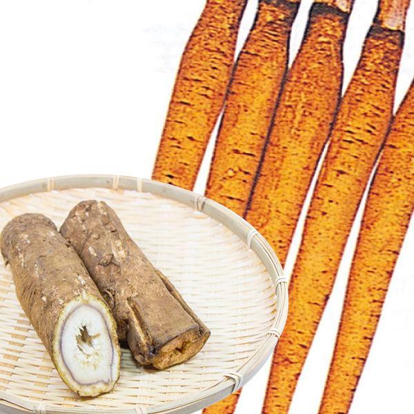 ●商品情報：千葉の伝統野菜短根太ごぼうの代表品種。柔らかく香り・風味・食味抜群！ 特に煮物は絶品。中心が空洞になりやすい。●根長（約）：40cm●早晩性：極早生●入り数の目安：15mlあたり約400〜600粒入り※品種により差があります。●...