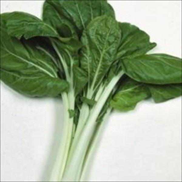 ●商品情報：埼玉の伝統野菜葉が柔らかく、煮物や漬物にすると美味。●お届け状態：種子●備考：※播種や植え付け後の栽培条件、天候等によりその結果が異なることがありますが、弊社の責と考えられる結果不良の責めはお買い上げ代金の範囲内とさせていただき...