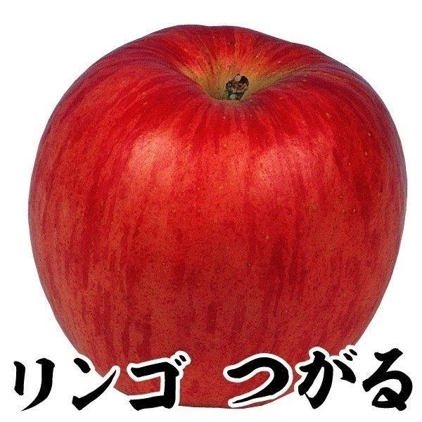 ●商品情報：約300ｇの大果で豊産。早生種最高品質を誇る名品リンゴ。●お届け状態：接木1年生根巻苗●分類：落葉樹●収穫期(約)：9月中旬〜●日照条件：日なた●耐寒性：強●栽培適地：庭・鉢●栽培のポイント：1本では実らないので異品種を混植する