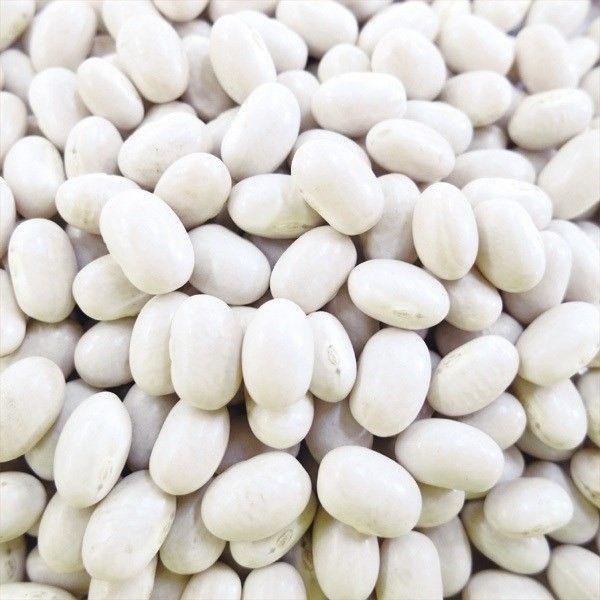 ●商品情報：白あんにおすすめの定番白インゲン豆。若どりでの収穫には不向きで完熟させてから収穫します。●早晩性：晩生●つるの有無：つるなし●お届け状態：種子●発芽適温：23〜25℃※発芽させるには播種床を上記の温度にしてください。●標準発芽率...