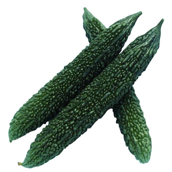 ●商品情報：苦味が少なく食べやすい！ 生育旺盛で栽培容易な豊産性品種。●果長（約）：30cm●お届け状態：種子●入数の目安：10mlあたり8〜12粒※品種により差があります。●発芽適温：25〜30℃※発芽させるには播種床を上記の温度にしてく...