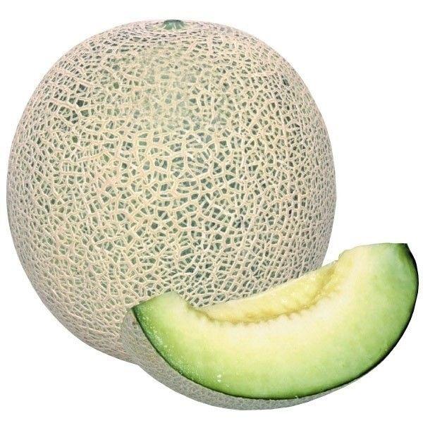 ●商品情報：甘くて厚い果肉はジューシーで美味。トンネル栽培で開花後約56日で収穫！●果重（約）：1.4〜1.6kg●糖度（約）：16度●お届け状態：種子●入数の目安：2mlあたり約30〜40粒※品種により差があります。●発芽適温：25〜30...