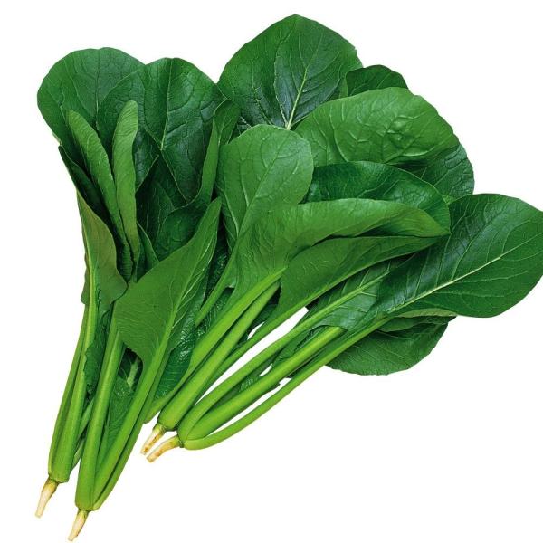 ●商品情報：草姿は立性で丸葉で株の揃いが良く栽培容易で収穫もしやすい品種です。葉柄は太くボリュームがあり、株張りが良い。蒔き時期をずらして長くに楽しめる品種です。プランターで少しずつ蒔き、いつでも庭先やベランダでも楽しめます。葉はやや大きめ...