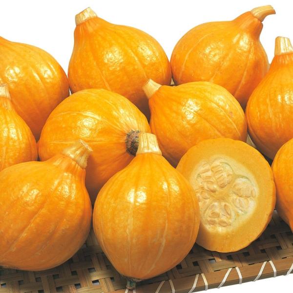 ●商品情報：生食可能!　鮮やかなレモン色の果皮で、生食可能なユニークカボチャ。歯触りがよくクセが無いので、サラダや浅漬けにも。和・洋・中どの料理に使ってもずば抜けて美味。楽々カットできて調理しやすく大人気です。●果重（約）：500〜1kg●...