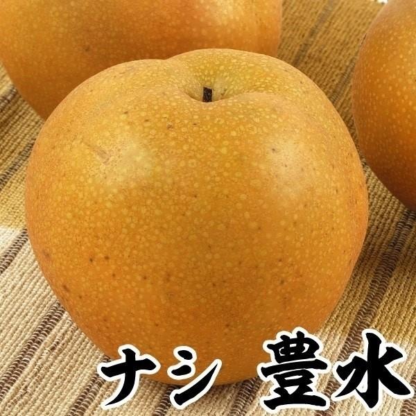 ●商品情報：上品かつ豊潤な味わいで人気のナシの代表品種！甘味と酸味のバランスが絶妙で、濃厚なナシの風味が楽しめます。果肉はやわらかでとってもジューシーな初秋の味覚です。●お届け状態：接木1年生根巻苗●分類：落葉樹●収穫期(約)：9月上旬●日...